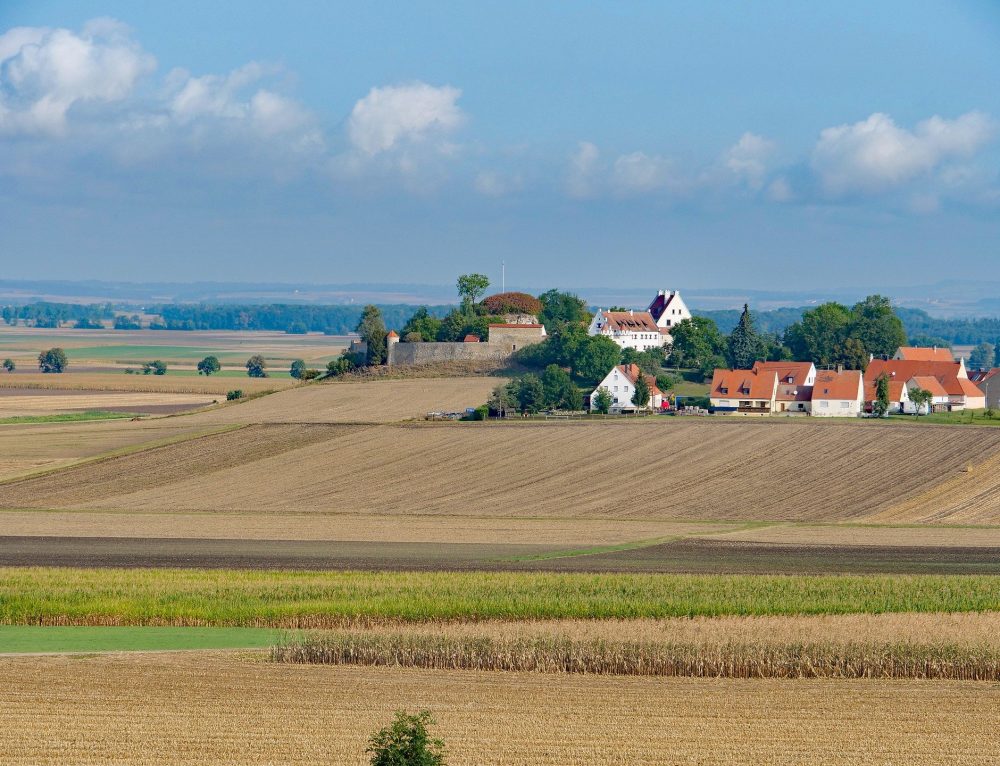 The Ultimate Guide to ALTA Surveys | Millman Land