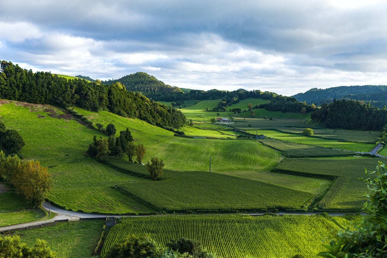 Land Survey Vs Plot Plan Which Is Right For You 